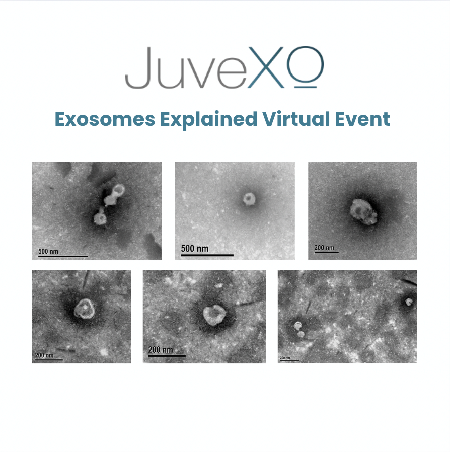Exosomes Unveiled: JuveXO’s Experts Share Groundbreaking Insights